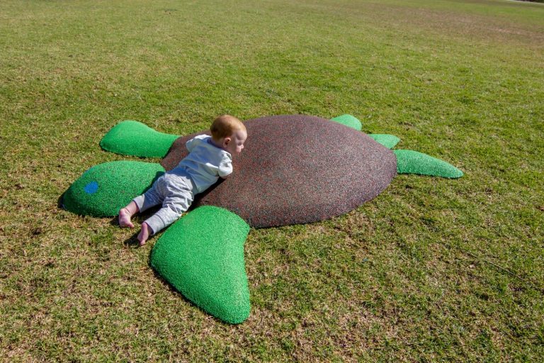 PIP Turtle | Infant Playgrounds | Blog | PDPlay